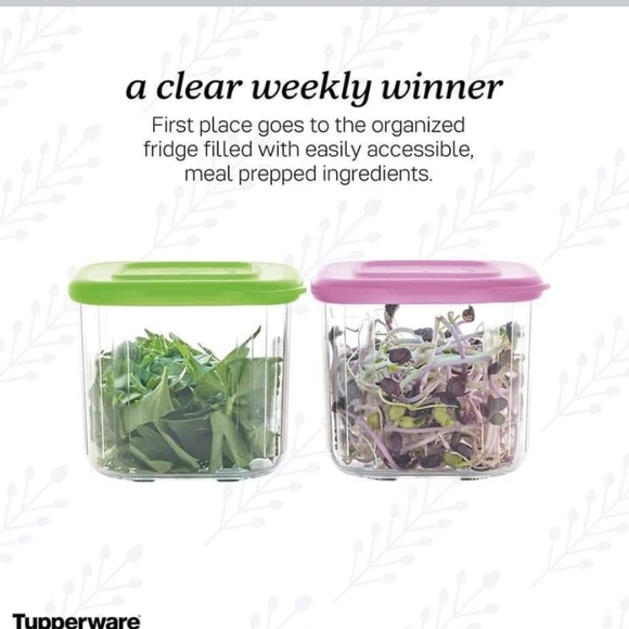 Tupperware | Kitchen | Tupperware Clear Mates Mini Set Of 2 | Poshmark